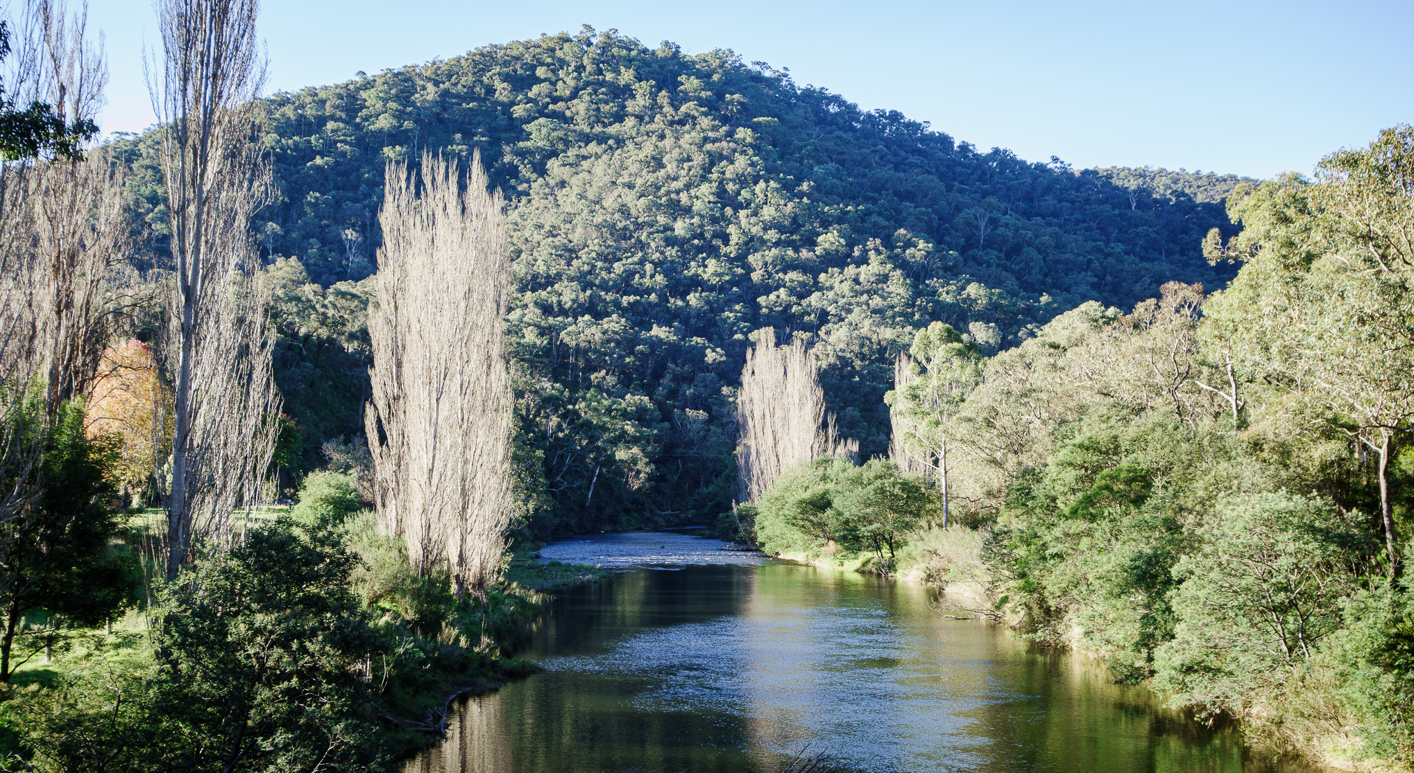 Dargo Archives - The Best Mouse Tap